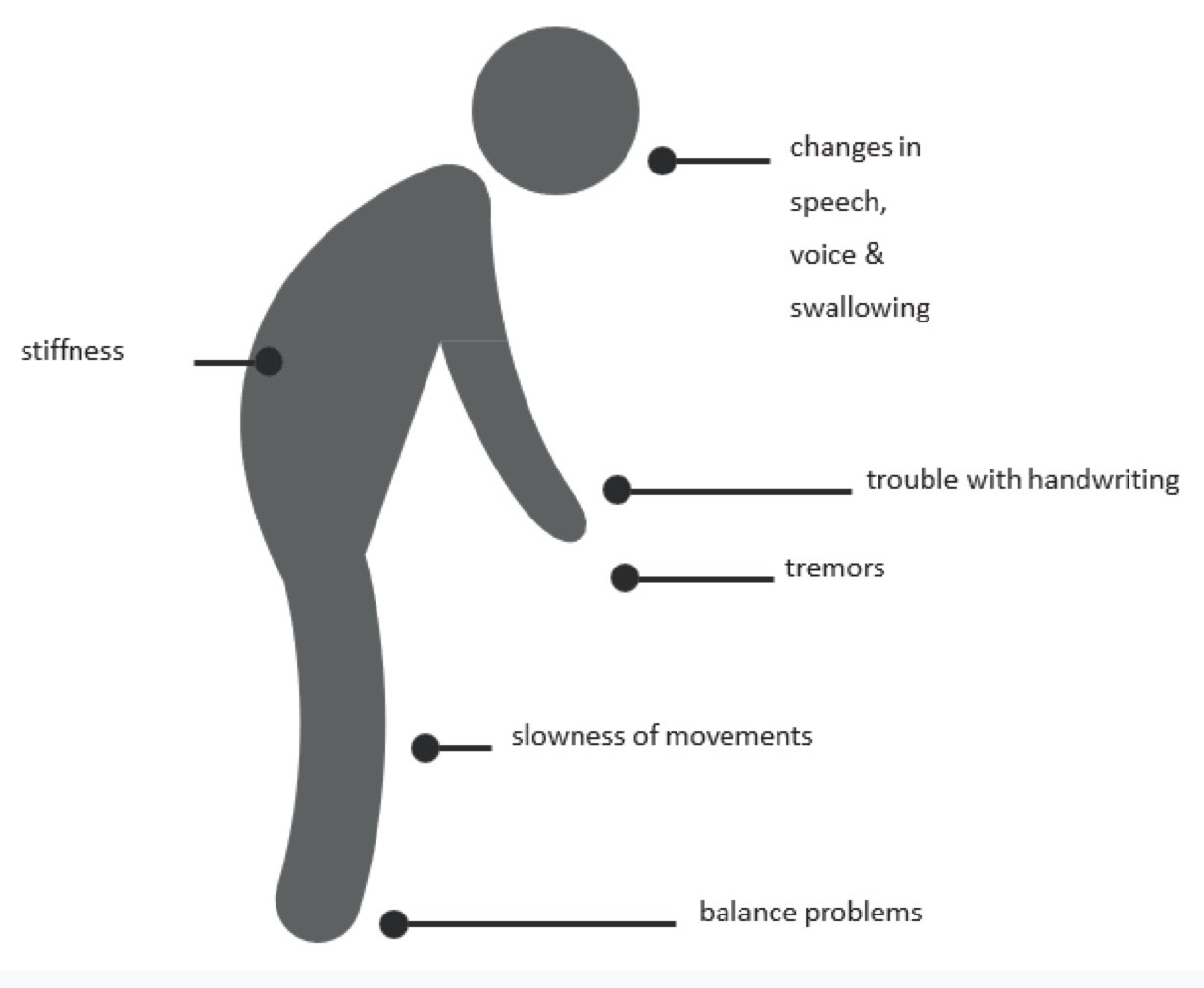 NeuroPath: le deep learning pour mieux soigner les maladies neuro ...